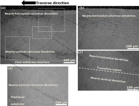 Optical Micrographs Showing Different Regions Of The A Longitudinal Download Scientific