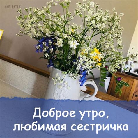 Сестра доброе утро картинки и открытки красивые с надписью Доброе утро Картина с цветком