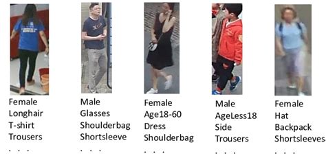 Examples Of Pedestrian Attributes In Real Scenarios Download Scientific Diagram