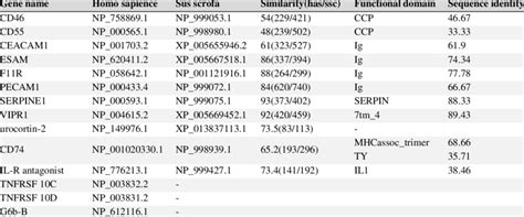 amino acid sequence alignment of endothelium derived inhibitory