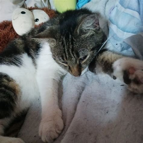 Ruby Elliot Lily YouTube