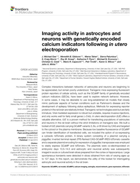 Pdf Imaging Activity In Astrocytes And Neurons With Genetically