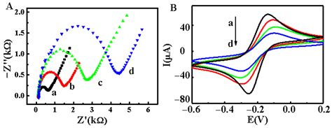 Ratiometric Electrochemical Biosensing Of Methyltransferase Activity