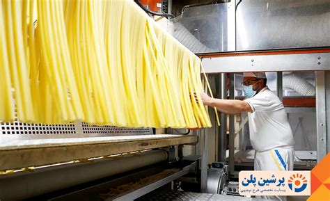 طرح توجیهی تولید ماکارونی ☀️wordpdf سال 1404 پرشین پلن