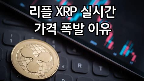 리플 Xrp 실시간 가격 폭발 이유 Youtube
