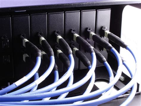 Backbone Harness Cables By Chameleon