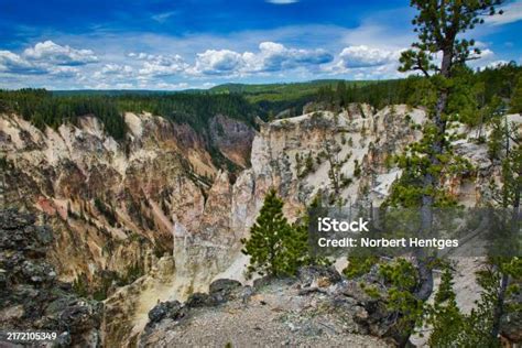 옐로 스톤의 그랜드 캐년 낮은 폭포가 내려다 보입니다 협곡과 강 옐로 스톤 국립 공원의 아름 다운 풍경 폭포 강 숲 산 하늘 미국 0명에 대한 스톡 사진 및 기타 이미지