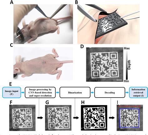 Figure 4 From Implantable Qr Code Subcutaneous Microchip Using