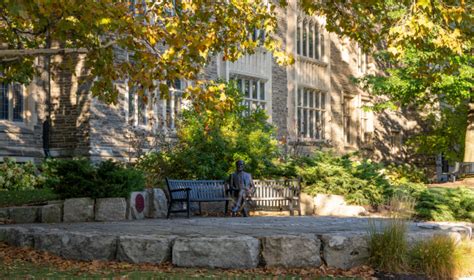 Mcmaster Invests In Teaching And Learning Innovation And Implementation Projects Daily News