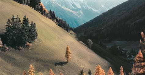 가을 가을 단풍 감자칩 경치 경치가 좋은 계절의 변화 고립된 고요한 골짜기 광야 그림 같은 깨끗한 공기