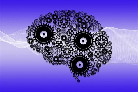 How The Brain Processes Rewards Neuroscience News