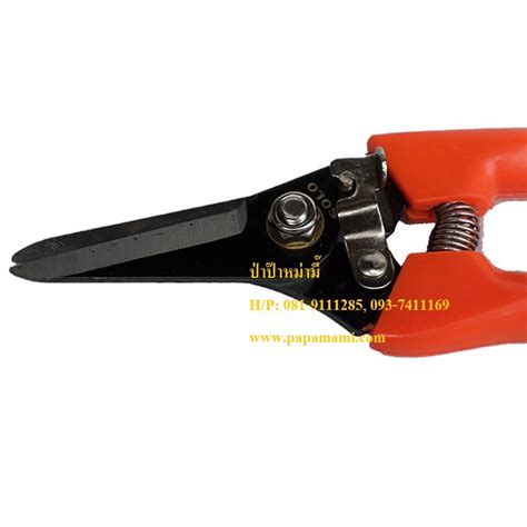 2 6อัน กรรไกรตัดกิ่งไม้ Solo 213 ปากตรง ยาว 7นิ้ว Papamami Pruning Shears กรรไกรตัดแต่งกิ่ง