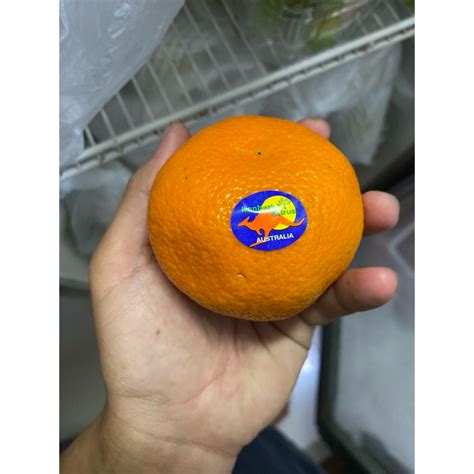 Jual Jeruk Honey Murcot Australiamandarin Manis Segar Shopee Indonesia