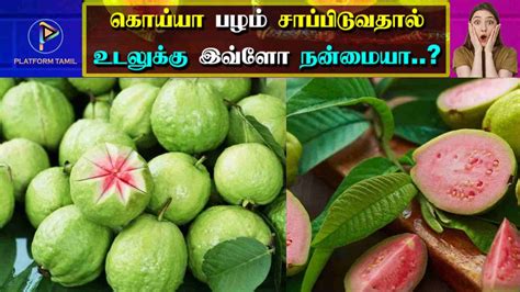 Guava Benefits in Tamil கயய பழம நனமகள மறறம 15 மரததவ