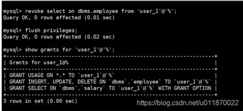 Mysql学习与数据库综合实验（十二）——自主存取控制实验（基于ubuntu1804中docker安装的mysql8实验）ubuntu Mysql项目实训 Csdn博客