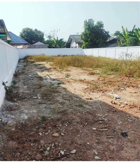 ขายที่ดินหนองควายหางดงหันทิศตะวันออกพร้อมโอน ที่ดินร้อยแปด คอม