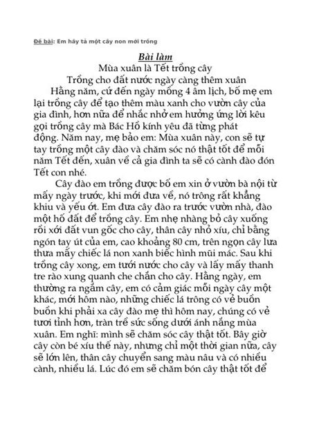 Bài Văn Tả Cây Non Mới Trồng Khám Phá Vẻ Đẹp Tự Nhiên