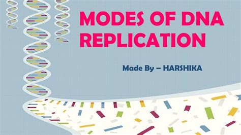Modes Of Dna Replication With Types And Experimentspptx