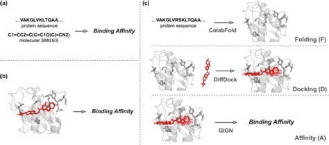 How Ai Generated Binding Conformations Could Improve Drug Protein