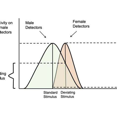 Schematic Illustration Describing Hypothesised Perceptual Detectors