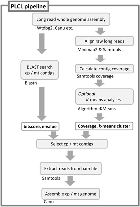 Overview Of The Plant Contig Clustering‐based Genome Assembly Plcl