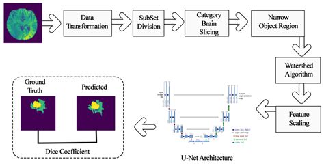 Brain Tumor Segmentation Of Mri Images Using Processed Image Driven U Net Architecture