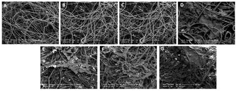 Processes Special Issue Applications Of Bioprocess Processes In