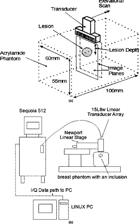 Figure 1 From Detection Of Lesions Using Differential Rates Of Speckle Decorrelation Semantic