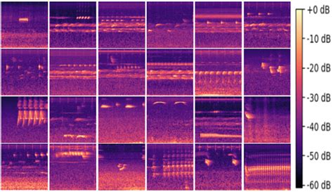 Bioacoustic Classification Using Deep Learning For Multiple Species In A Puerto Rico Rainforest