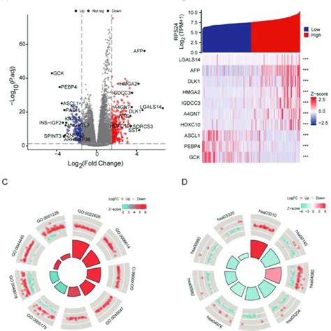 Identification Of Degs And Ppi Network Analysis Avolcano Plot Of The