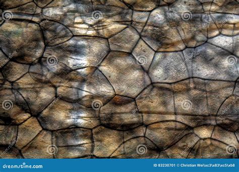 Nodules Of Polystyrene Under The Microscope Royalty Free Stock Image 83230816