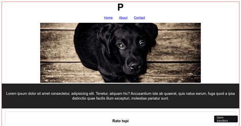 Component Example Codesandbox Component Example Codesandbox