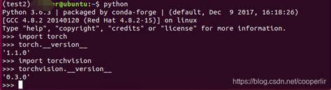 Check The Installed Version Of Pytorch And Torchvision Programmer Sought