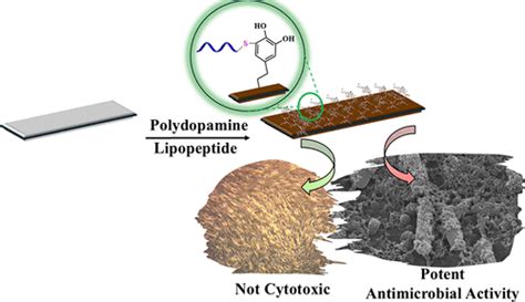 Polydopamine Mediated Antimicrobial Lipopeptide Surface Coating For