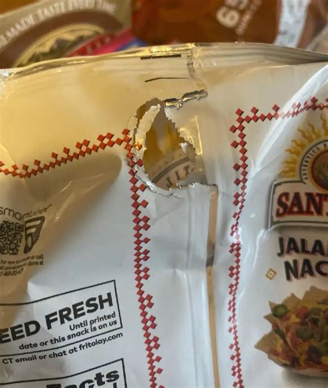 Signs Of Cockroach Infestation In House And How To Fix