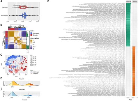 Centrality Based Analysis Of The Neuron Astrocyte Metabolic Network Download Scientific Diagram