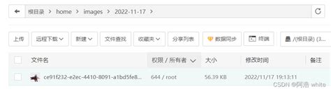springboot上传图片到宝塔linux 本地上传和跨域上传 宝塔添加图片使用url访问 csdn博客