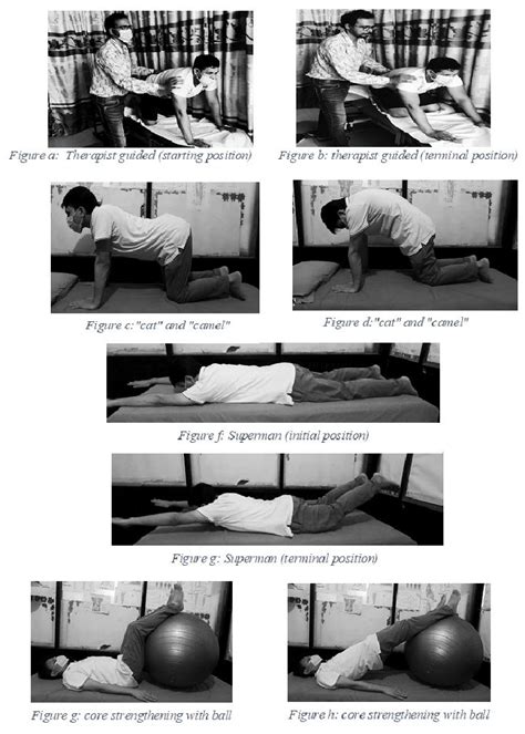 Core Stabilization Exercise Download Scientific Diagram