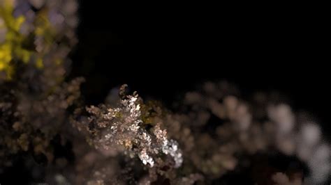 페인트 무브먼트 컬러 드림 시리즈 상상력 창의성 및 예술 회화의 주제에 대한 그라데이션과 스펙트럼 색조의 구성 3d 프랙탈 렌더