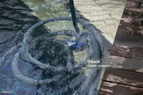 진공관 청소기로 수영장을 청소하는 남자 주간 수영장 유지 관리 수영장 청소 서비스 가사 집안일에 대한 스톡 사진 및 기타 이미지 가사 집안일 가정용 시설 건물 관리