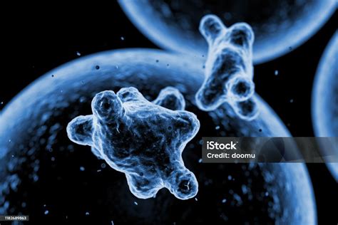 바이러스 세포 또는 박테리아 현미경보기 3d 렌더링 간염에 대한 스톡 사진 및 기타 이미지 간염 건강관리와 의술 과학 Istock