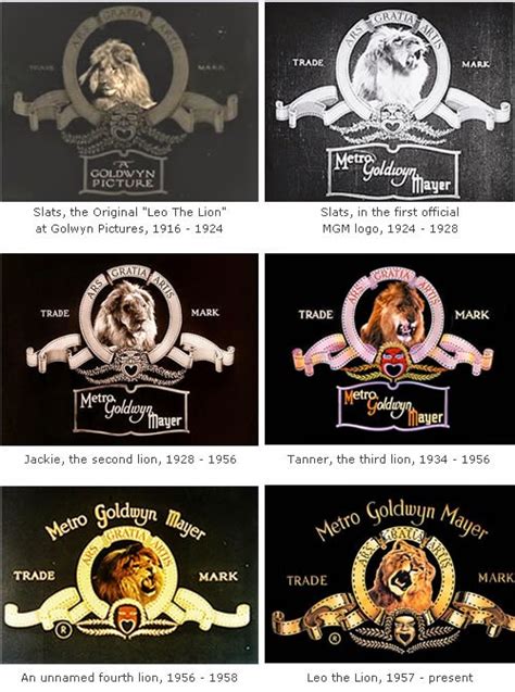 Incredible Behind The Scenes Photos From The Making Of The Mgm Lion