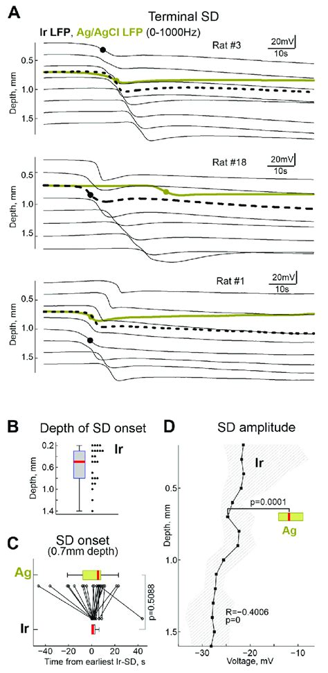 Terminal Spreading Depolarizations A Examples Of Terminal Sd In