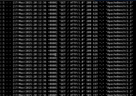 Setting Up Ddos Protection For Nginx Debian Linux By Kai Yi Tay