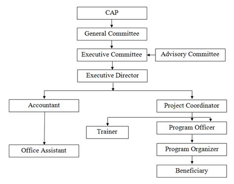 Organogram Centre For Advancement Programme Cap
