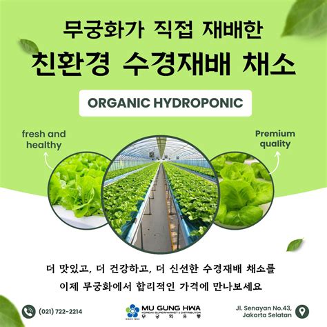 유기농 야채 무궁화가 직접 재배한 믿을수 있는 친환경 수경재배 채소 더 맛있고더 건강하고더 신선한 수경재배 채소를 이제 무궁화에 알토란 인니 Band