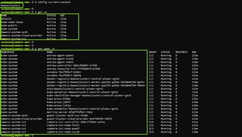 Insight Into Positioning Nsx Alb Avi With Vmware Tanzu Offerings Nsxbaas