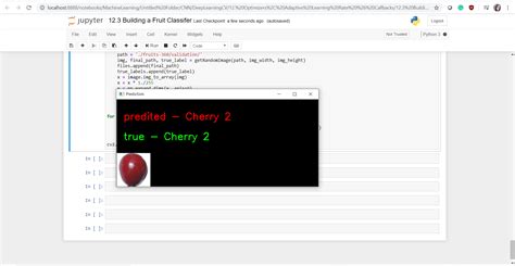 GitHub Swati Thapa Fruit Classifier