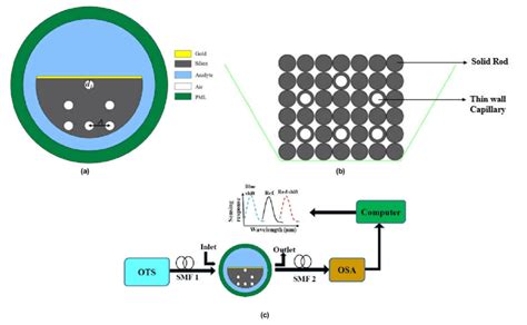 A Schematic Diagram Of The Proposed Pcf Biosensor B Fibers Download Scientific Diagram