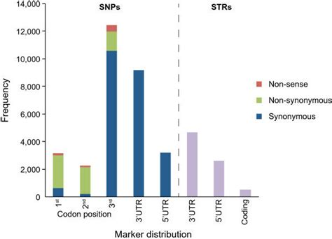 genetic markers distribution at the coding loci snps and strs within